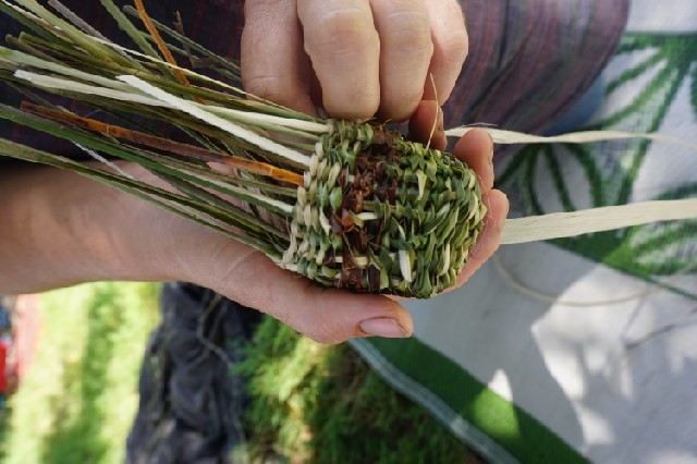 Weaving with Nature – so many plants seem to love weaving as much as we ...